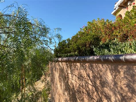 Canvas Viewer Scan 1