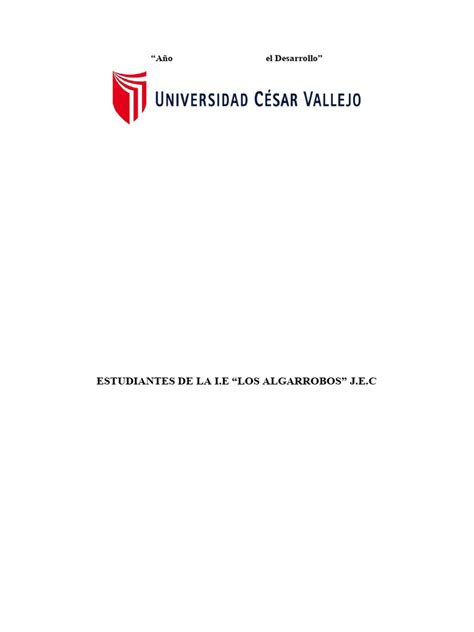 informe final programa educativo pdf