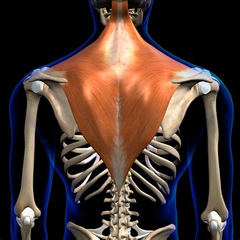 Deep Tissue Vs Firm Pressure Massage Moyer Total Wellness