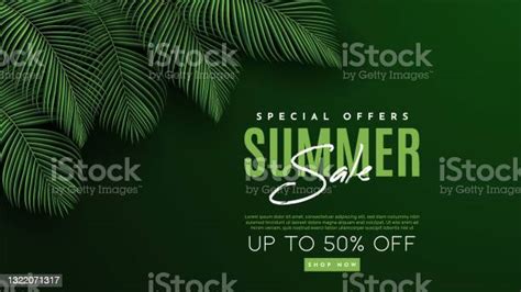 열대 잎 배경 여름 판매 배너 벡터 일러스트레이션 3차원 형태에 대한 스톡 벡터 아트 및 기타 이미지 3차원 형태 개념 계절 Istock