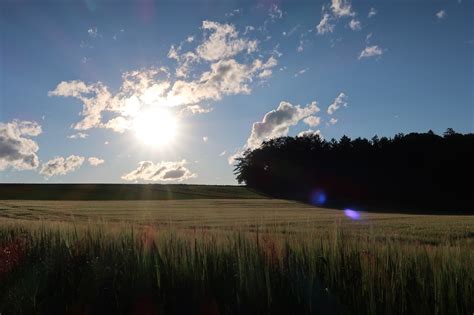 Nature Field Outdoors Free Photo On Pixabay Pixabay