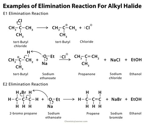 Elimination Reaction Definition Examples Mechanism And Applications
