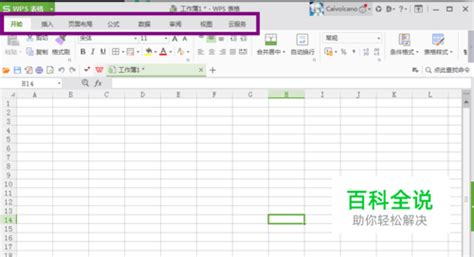 Wps菜单栏找不到开发工具怎么办？ 【百科全说】
