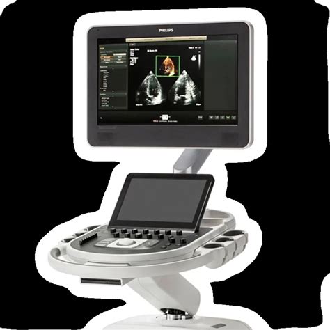 УЗИ в Минске сделать платно цена УЗИ в МедАвеню