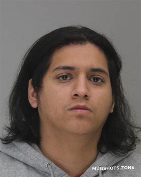 Martinez Mark 12 29 2024 Dallas County Mugshots Zone