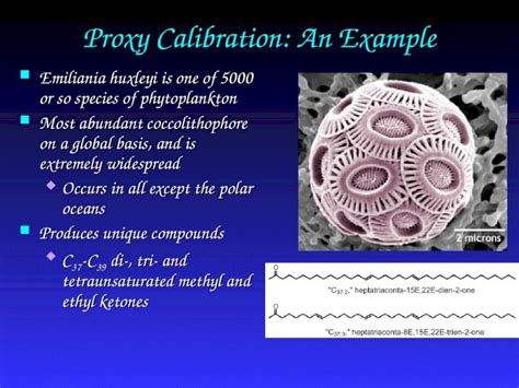 ppt proxy calibration an example emiliania huxleyi is one of 5000 or
