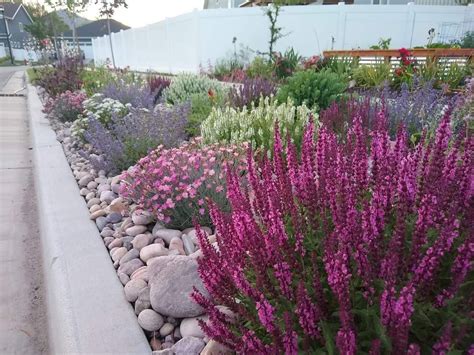 How To Grow Azaleas Artofit