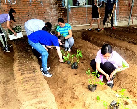 Хөдөлмөр зуслангийн 2 р ээлжийн Мөнх Ногоон Амьдрал