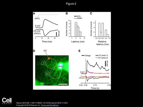 Usmle Step 1 Qbank Cholinergic Transmission With Images