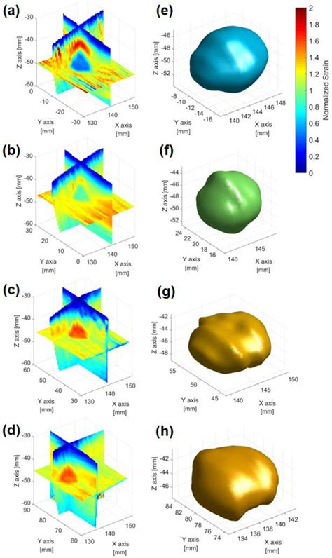 Ad Slice Plots Of The Reconstructed Volumetric Strain Data Download Scientific Diagram