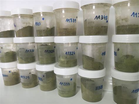 Análisis Foliar Análisis De Hoja Para Optimizar La Fertilización