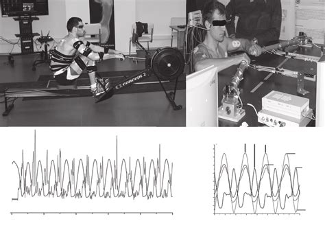 Realization Of Rowing Test Movements On Simulation Sets A Imitation Download Scientific