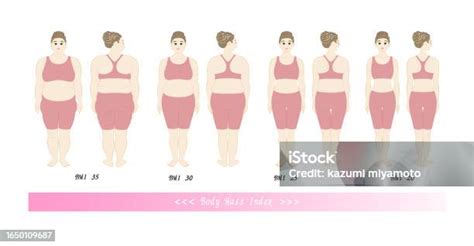 Bmi 체질량 지수 젊은 여성의 체형 변화 다이어트 전후 그림 벡터 다이어트에 대한 스톡 벡터 아트 및 기타 이미지 다이어트