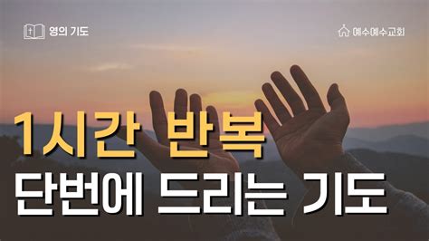 단번에 드리는 기도 1시간 반복 Youtube