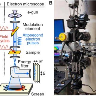 Pdf Attosecond Metrology In A Continuous Beam Transmission Electron Microscope