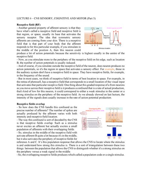 Lecture CNS Sensory Cognitive AND Motor Part LECTURE CNS SENSORY COGNITIVE AND
