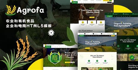 Bootstrap电商模板 HTML商城模板 Bootstrap模板库