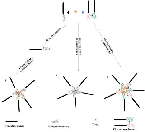 Common Types Of Polymeric Micelles A Block Copolymer Micelle B Download Scientific