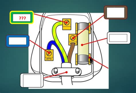 Plug Wiring Flashcards Quizlet