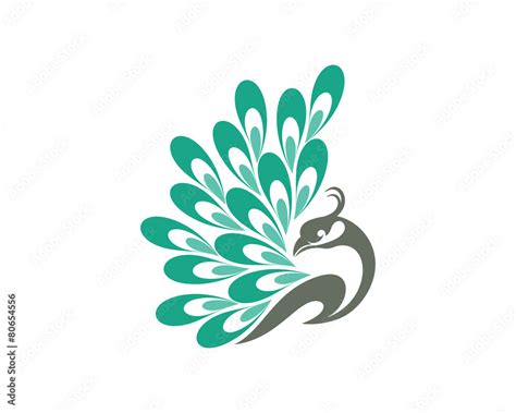 Beauty Peacock Logo Vector Stock Vector Adobe Stock