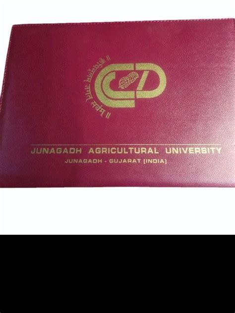 Cardboard Certificate File Folder A4 At Best Price In New Delhi Id