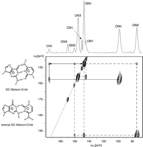 Experimental 15 N Dipolar Chemical Shift Correlation Spectrum Of The