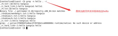 linux基础命令（more 管道 grep find） 不坑的康同学 博客园