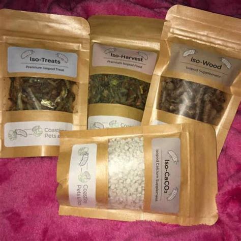 1 Pc Vinyl Normal Ball Python Sticker Ball Python Decal For Water