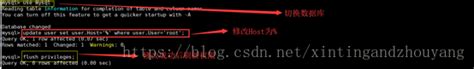 Centos76安装mysql8通过tar包安装的方式 Csdn博客