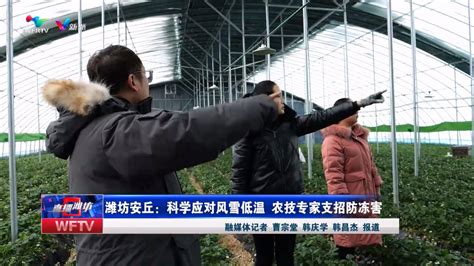 新派视频新派网 V新派客户端 潍坊市广播电视台
