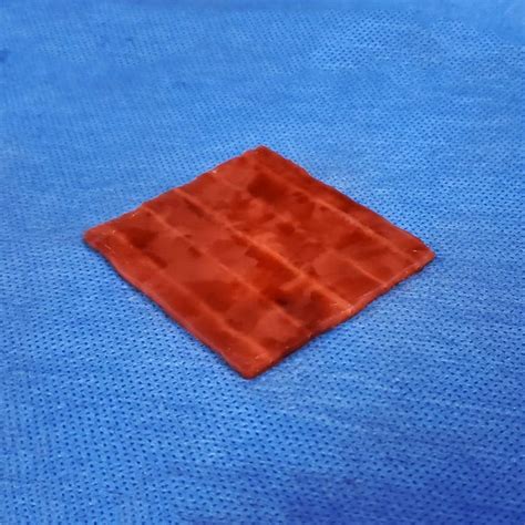 Lifelike Biotissue Feels Real