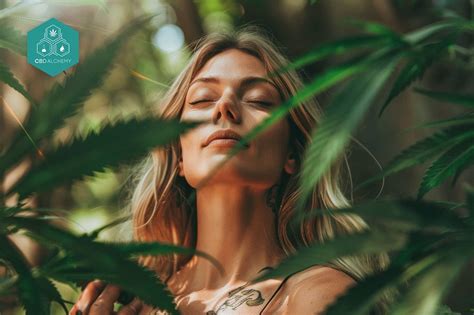 Cbd Qué Es Guía Completa De Beneficios Y Efectos
