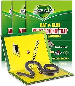 Amazon.com : Qualirey 4 Pack 13" x 20" Large Snake Glue Traps with ...