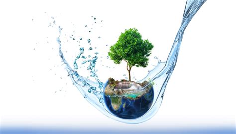 Facility Management Ifms Fm Frm Building Management Esg