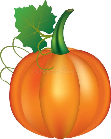 Pumpkin And Leaf Illustration Drawing Engraving Ink Line Art