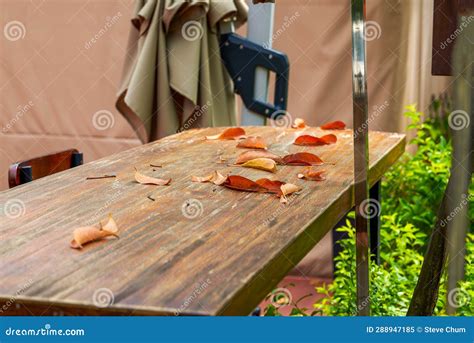 Wooden Table With Fallen Leaves In Outdoor Garden Stock Image Image