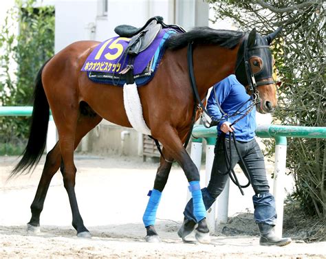 【皐月賞・イシゴーの特注馬】1週前に抜群の動き見せたホウオウビスケッツ 控える競馬試せた前走は収穫 Umatoku 馬トク