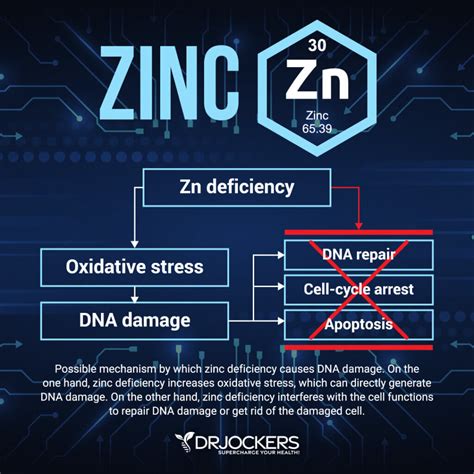 Do You Have A Copper And Zinc Imbalance