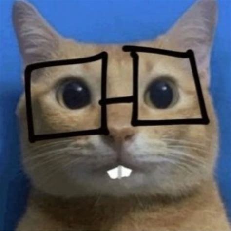 Cat Nerd Kitten En 2022 Gatito Imágenes Humorísticas Historietas