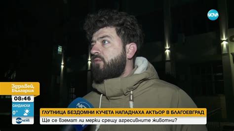 Глутница бездомни кучета нападна мъж в центъра на Благоевград Здравей