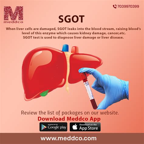 Why Go For An Sgot Test