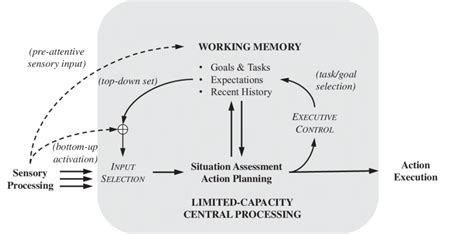 1 Schematic Overview Of The Role Of Attention In Regulating Cognitive