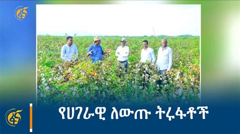 የሀገራዊ ለውጡ ትሩፋቶች Youtube
