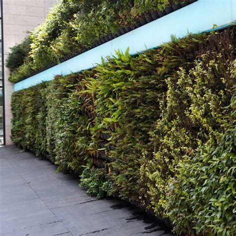 Living Wall Vegetable Garden