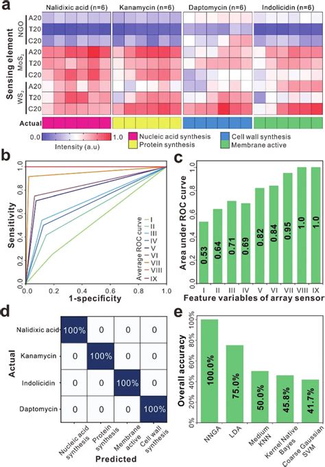 Validation Of A Machine Learning Approach Based Array Sensor A Heat Download Scientific