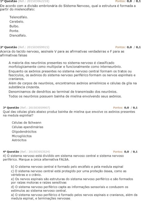 Exercicios De Neuroanatomia Anatomia E Neuro Anatomia Humana