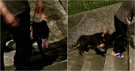基隆驚見棄屍！男藏貨車冰櫃被丟郊區 車上竟滿是金紙、道教令旗