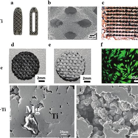Pdf Recent Developments Of Biomaterials For Additive Manufacturing Of