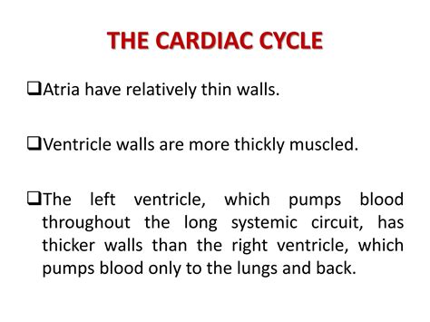 Circulatory System Of Human Being Its Structure Function Types And Comparison Of Open And Closed
