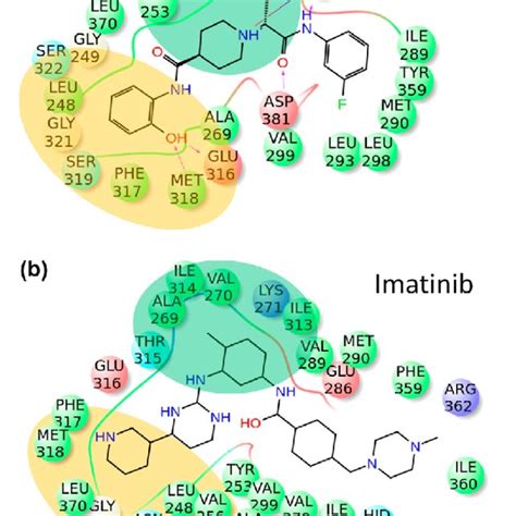 Conformation Of Activation Loop Of The Active And Inactive C Yes Kinase